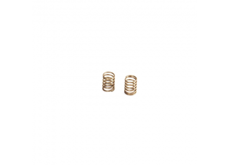 BRAKE PAD SPRINGS - 2 pcs